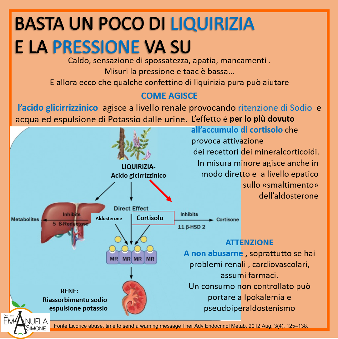 Pressione ALTA Vs Pressione BASSA - Biologa Nutrizionista Dr. Emanuela ...